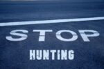 What is Stop hunting in Trading?
